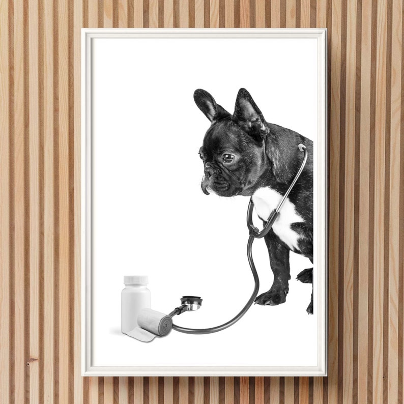 Dog Med Printable Wall Art Dog Vet Medicine Wall Art Dog Vet Practice ...