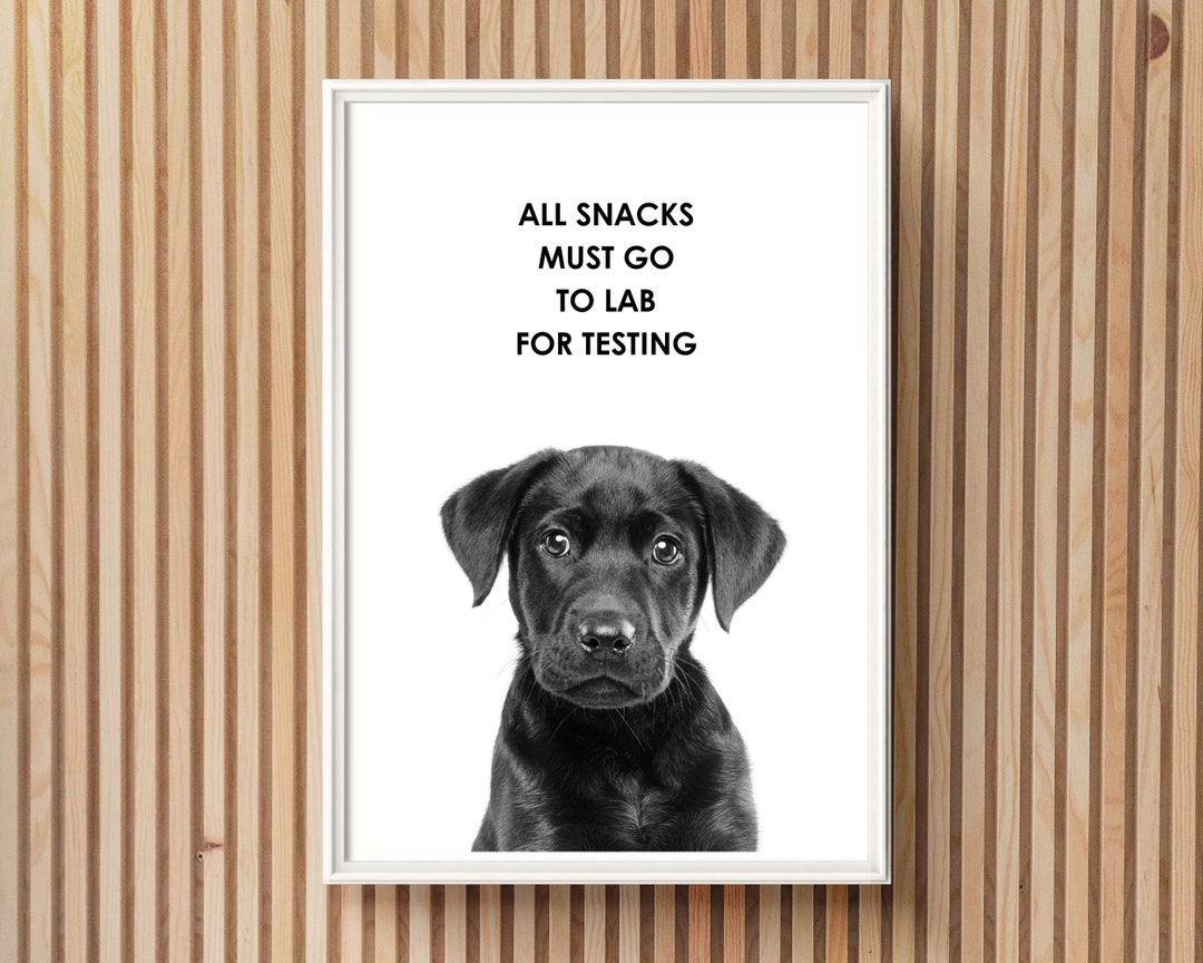 Funny Black Lab Quote Printable Wall Art Funny Vet Quote Wall Art Funny ...