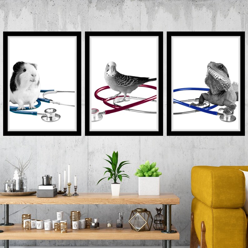Small Pet Vet Stethoscope Printable Wall Art Small Pet Veterinary ...