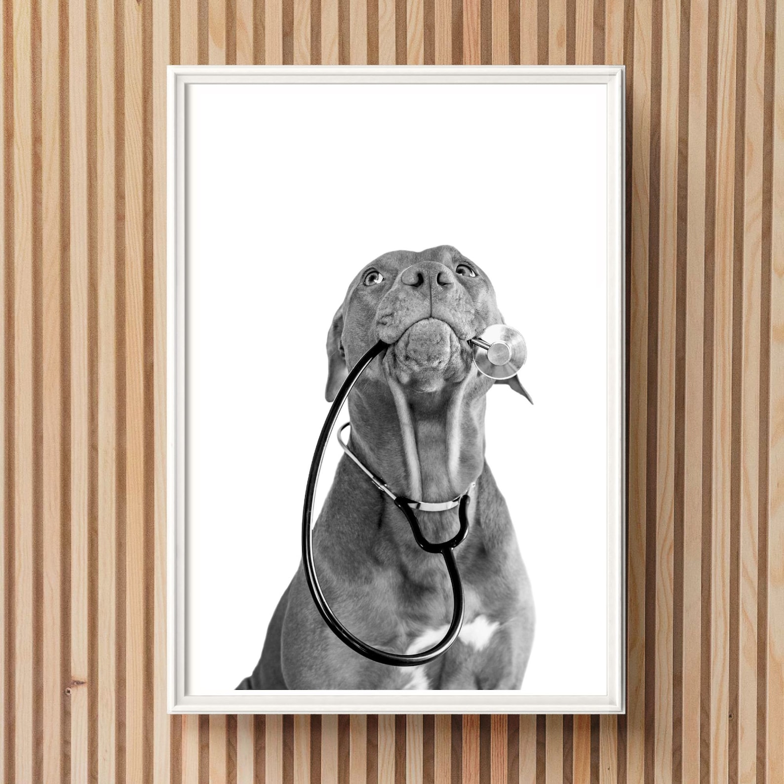 Dog Doctor Printable Wall Art Pet Portrait Veterinarian Clinic Decor ...