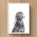 Dog Doctor Printable Wall Art Pet Portrait Veterinarian Clinic Decor ...