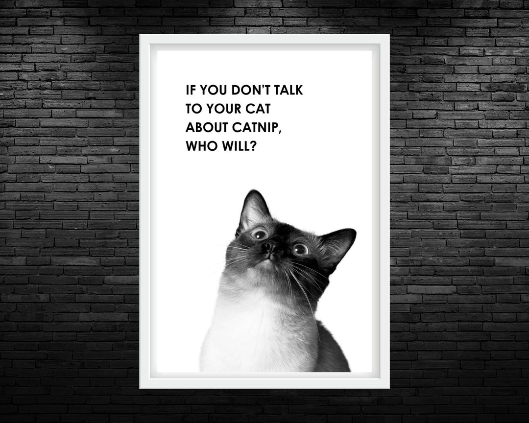Catnip Talk Funny Cat Quote Printable Wall Art Funny Cat Vet Clinic ...