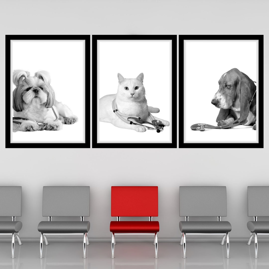 Doctor Pets Printable Wall Art Pet Stethoscope Wall Art Vet Stethoscope ...