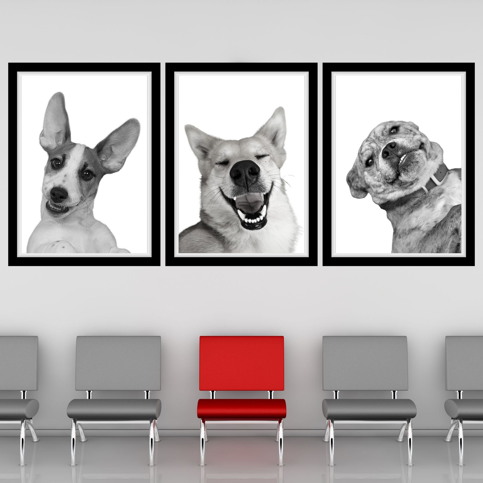 Silly Dog Trio Printable Wall Art Funny Dog Veterinary Medicine Wall ...