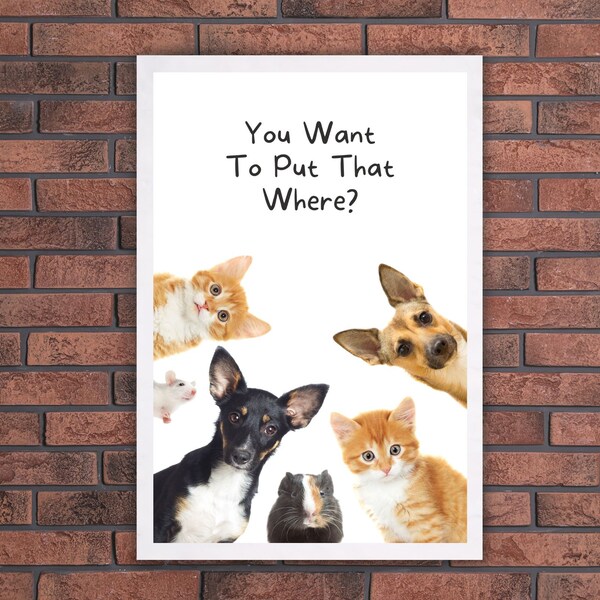 Veterinarian Office - Etsy