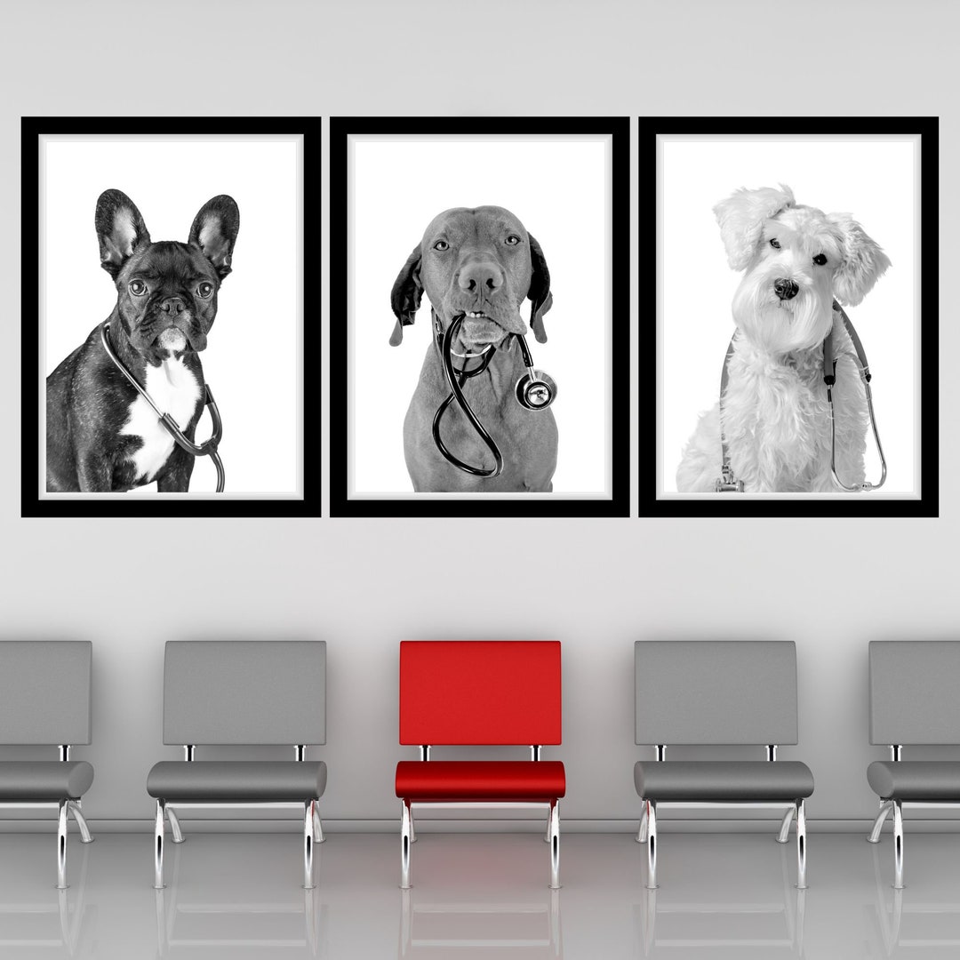 Dogs With Stethoscopes Printable Wall Art Dog Vet Med Wall Art Digital ...