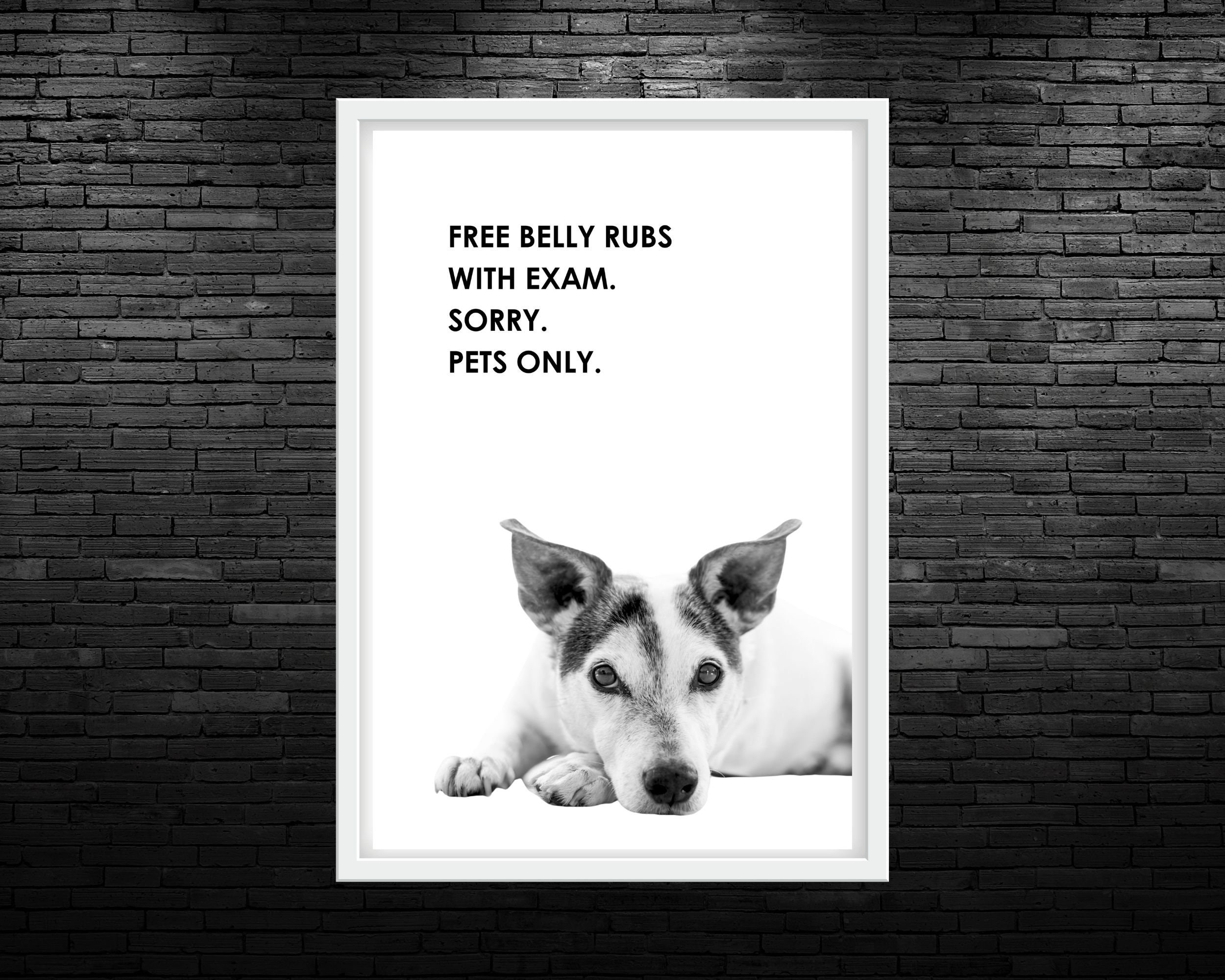 Free Belly Rub Quote Printable Wall Art Funny Vet Quote Poster Digital ...