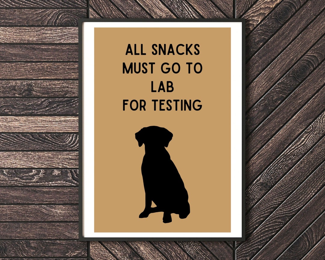 Funny Black Lab Quote Printable Wall Art Veterinary Office Decor Funny ...