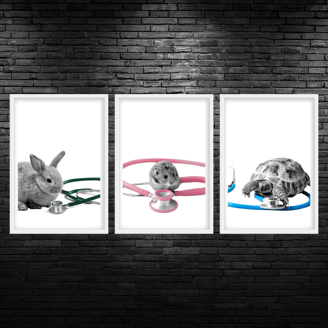 Small Pet Vet Trio Color Pop Printable Wall Art Small Pet Veterinary ...