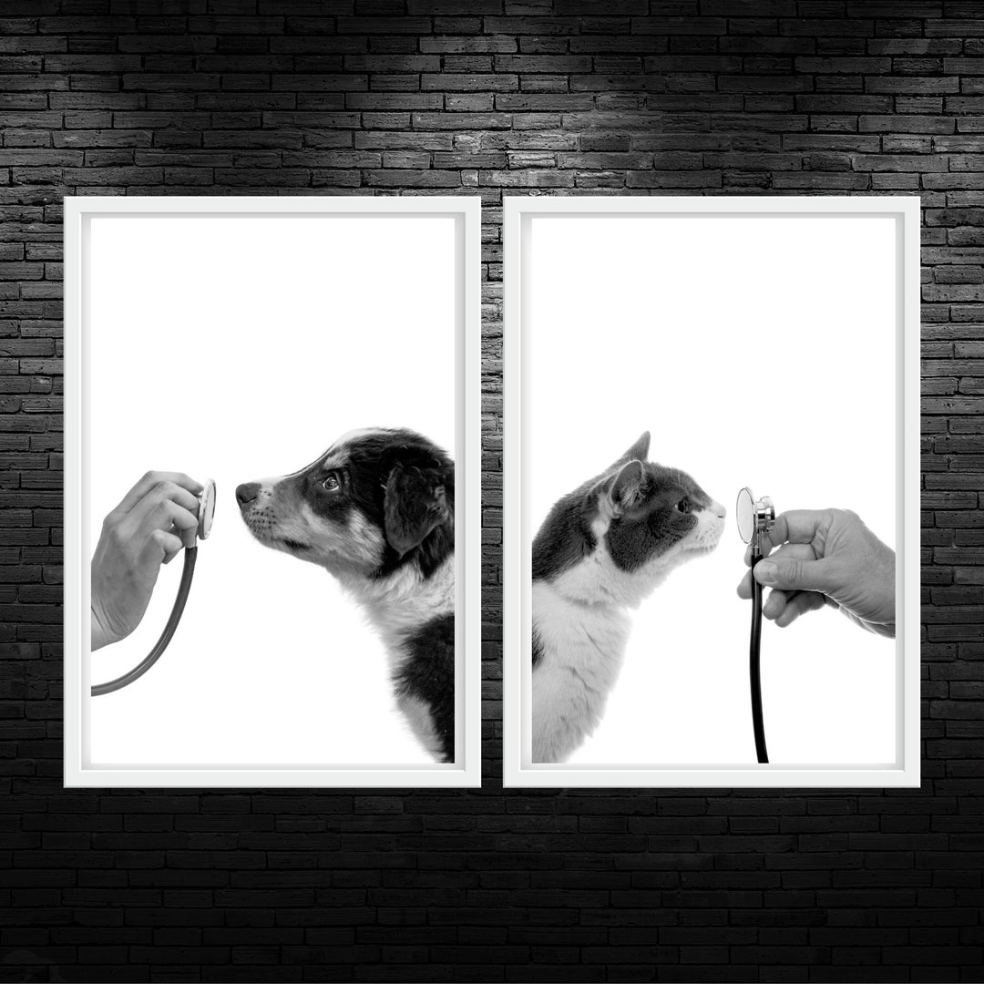 Cat and Dog Stethoscope Printable Wall Art Stethoscope Vet Med Wall Art ...