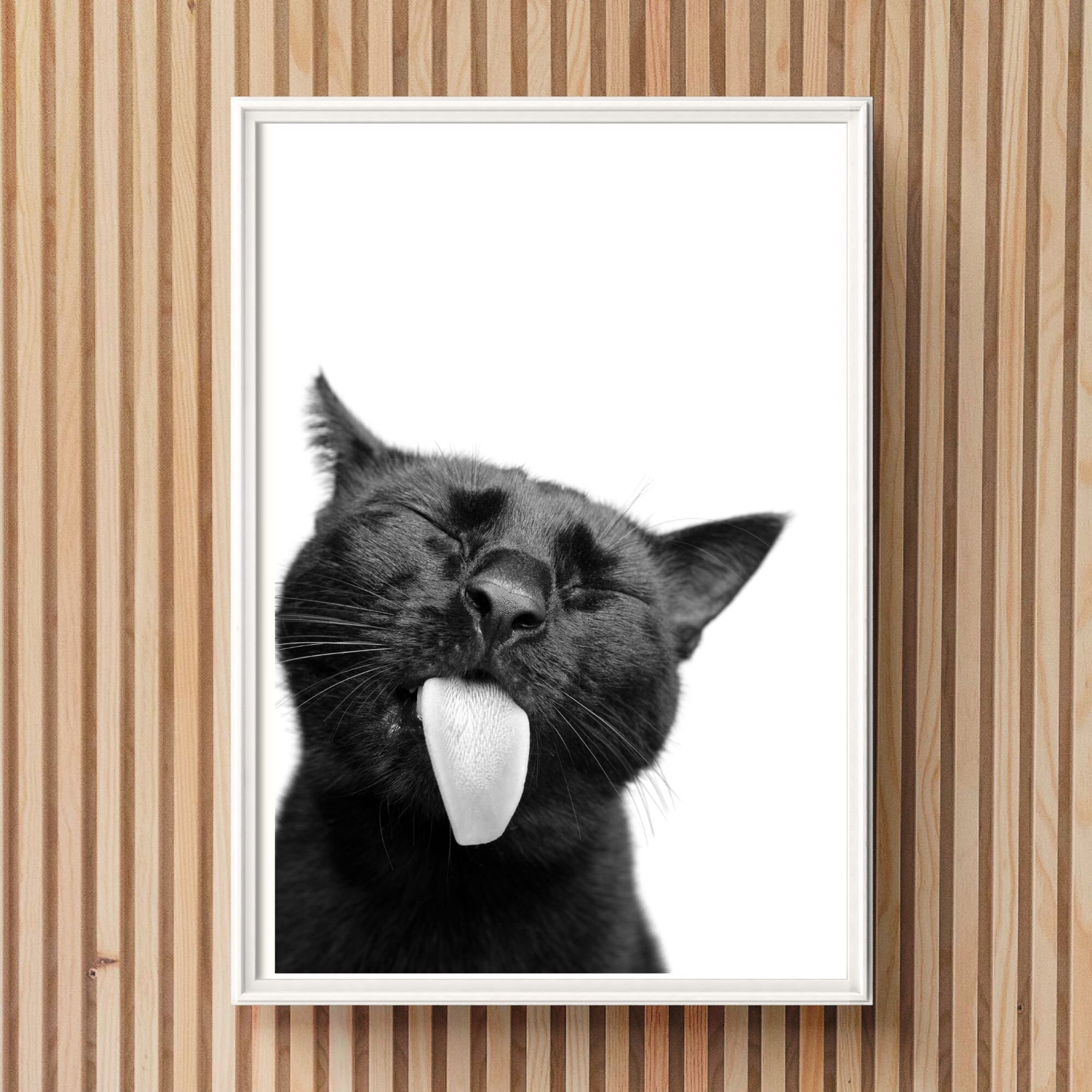 Funny Cat Vet Printable Wall Art Funny Vet Med Wall Art Digital ...