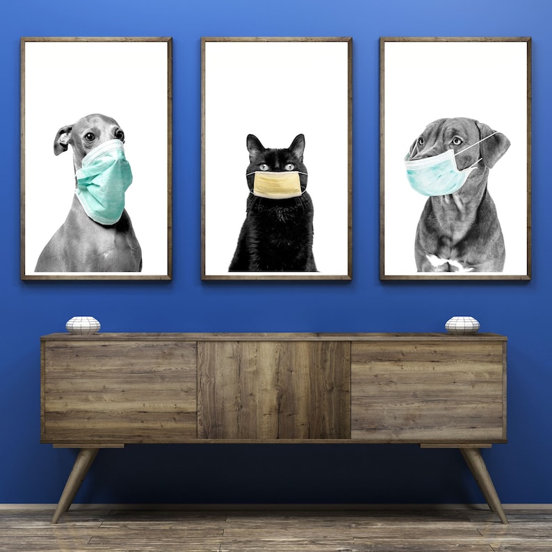 Pet Mask Color Pop Printable Wall Art Vet Medicine Wall Art Veterinary ...