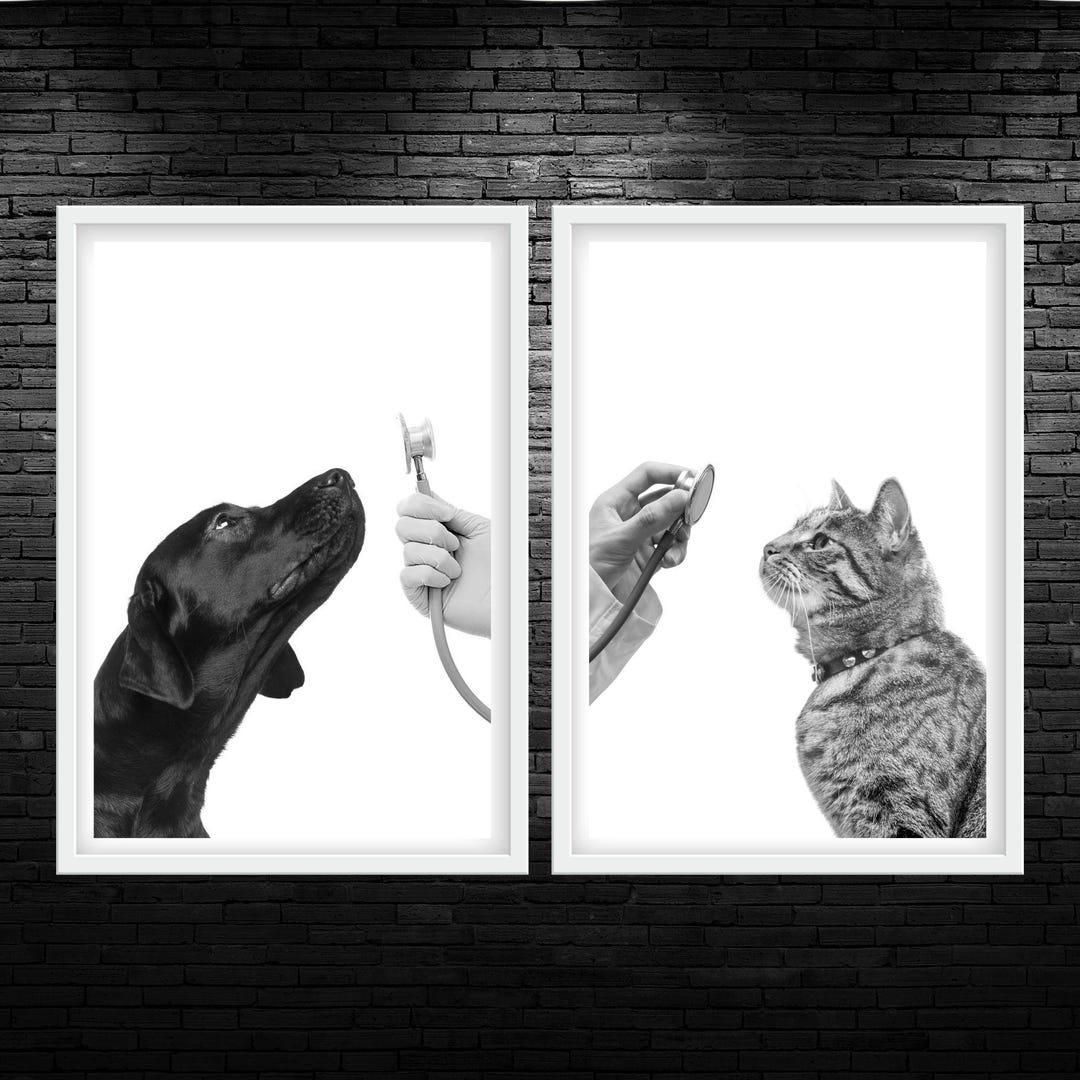 Pet Stethoscope Sniff Duo Printable Wall Art Cat and Dog Stethoscope ...