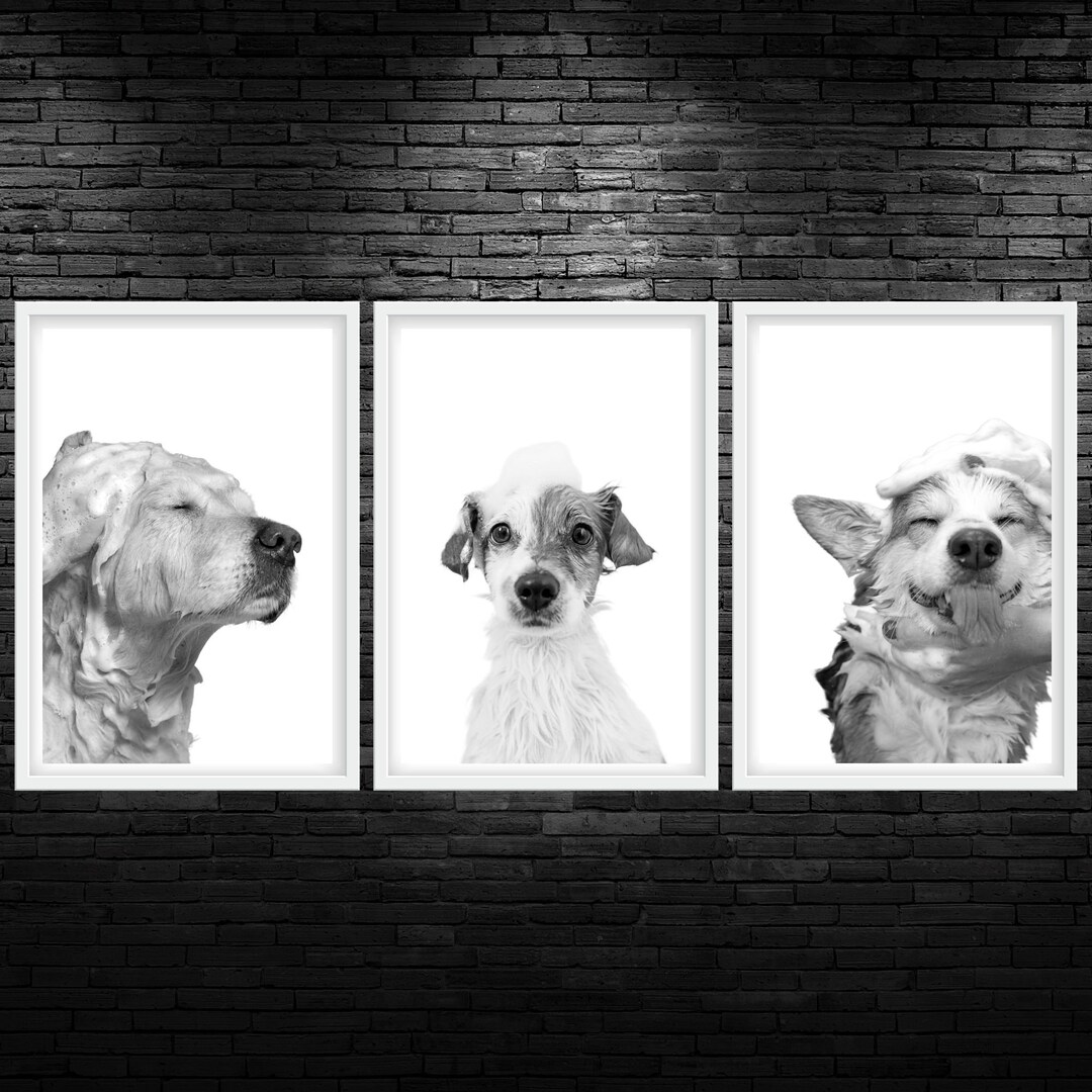 Dog Bath Trio Printable Wall Art Funny Dog Grooming Art Digital Dog ...