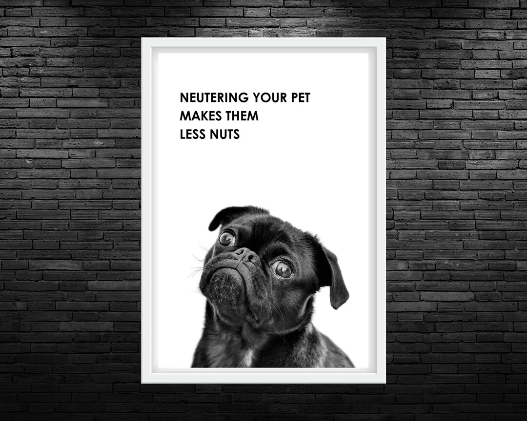 Funny Quote Vet Med Printable Wall Art Funny Vet Office Wall Art ...