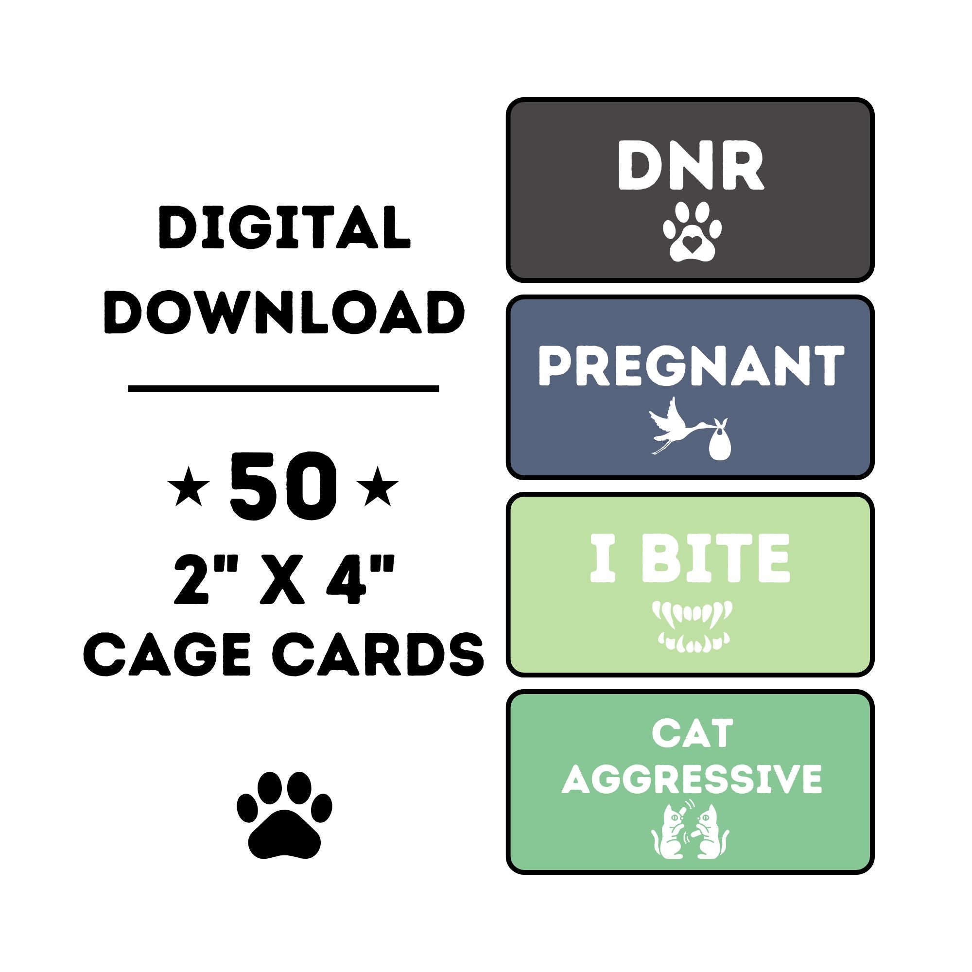 Green Veterinary Cage Cards Printable Kennel Cards Veterinarian Cage ...