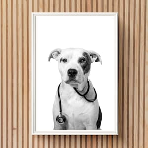 Dog Doctor Printable Wall Art Pet Portrait Veterinarian Clinic Decor ...