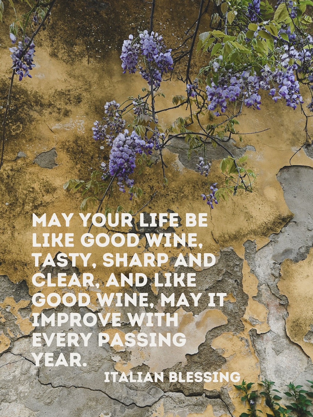 Italian Blessing Wall Art Wisteria Print Italy Photography Framed Quote ...