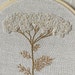 Yarrow Embroidery PDF Pattern - Step by Step Tutorial for Beginners ...