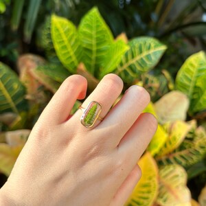 Adjustable Fern Leaf Real Plant Ring, Handmade Pressed Green Leaf Ring ...