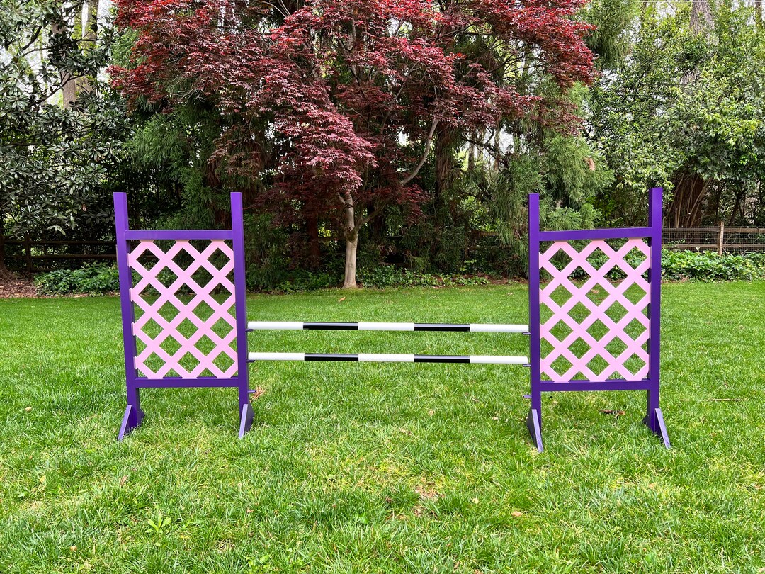 Kids Horse Jump - Custom Colors - Etsy