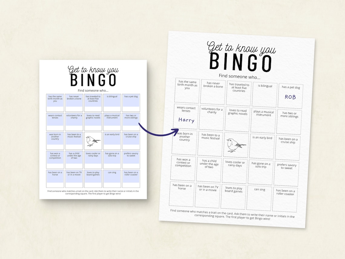 Editable Get to Know You Bingo, Find the Guest Bingo, Office Bingo ...