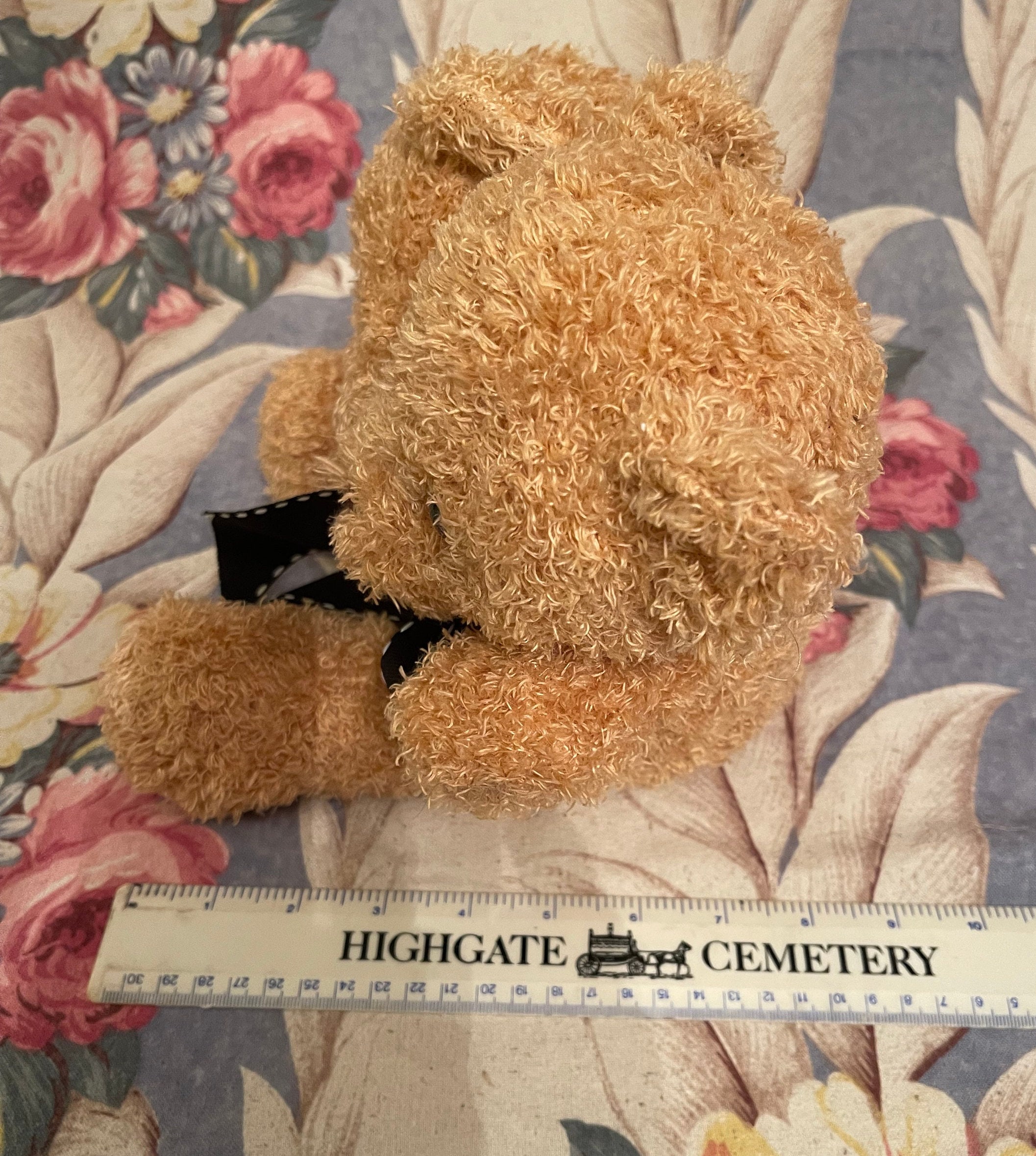 Sweet, Funny Face Plush 2 Headed Bear - Etsy