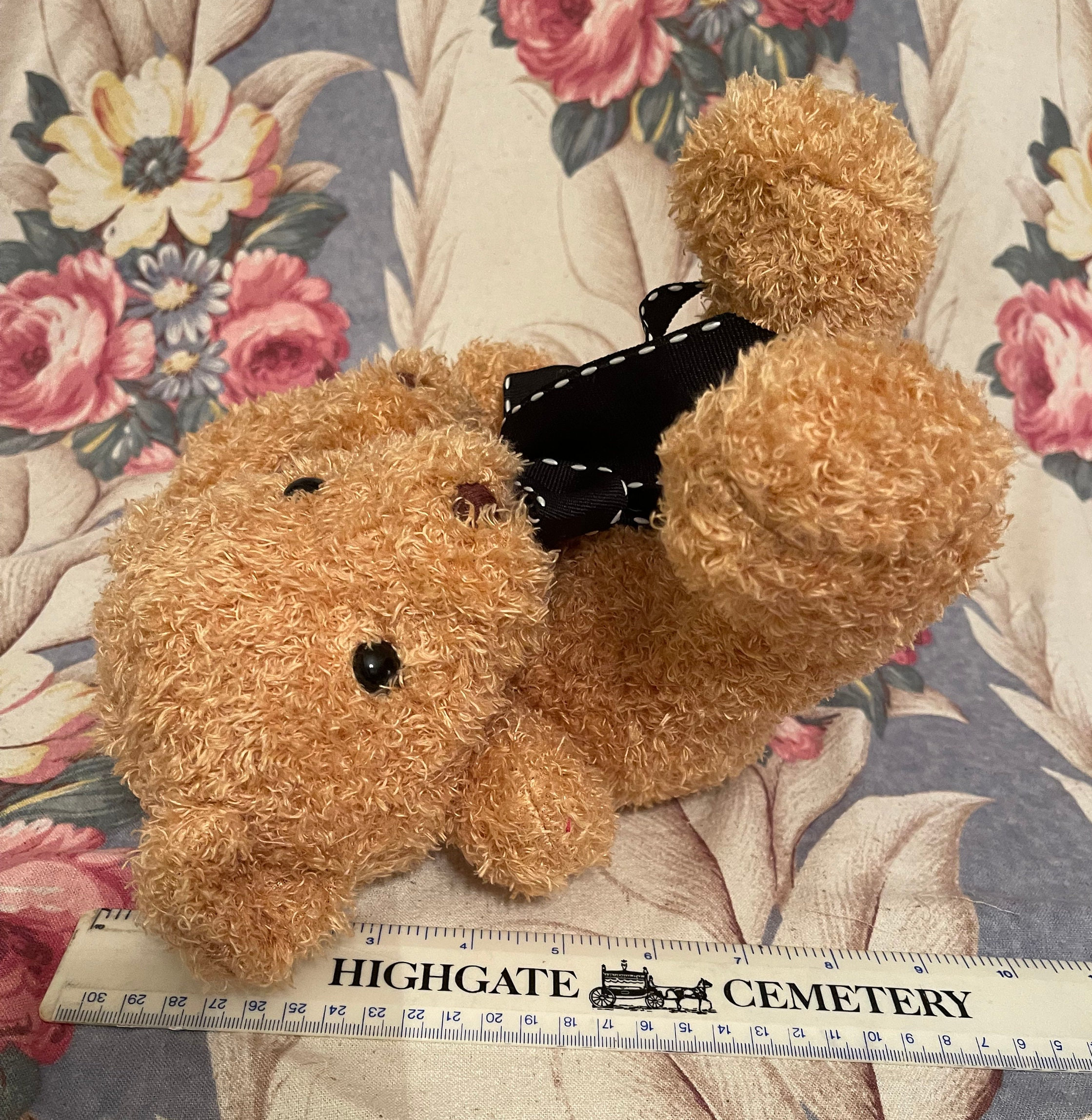 Sweet, Funny Face Plush 2 Headed Bear - Etsy