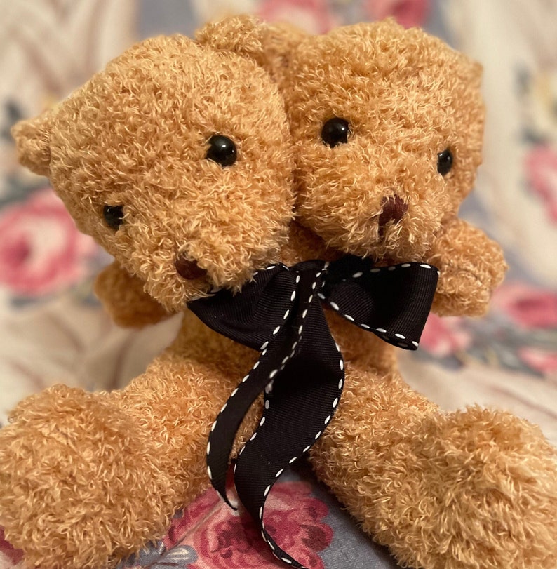 Sweet, Funny Face Plush 2 Headed Bear - Etsy