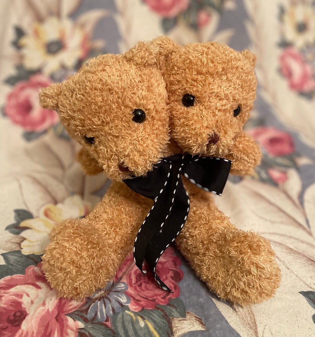 Sweet, Funny Face Plush 2 Headed Bear - Etsy