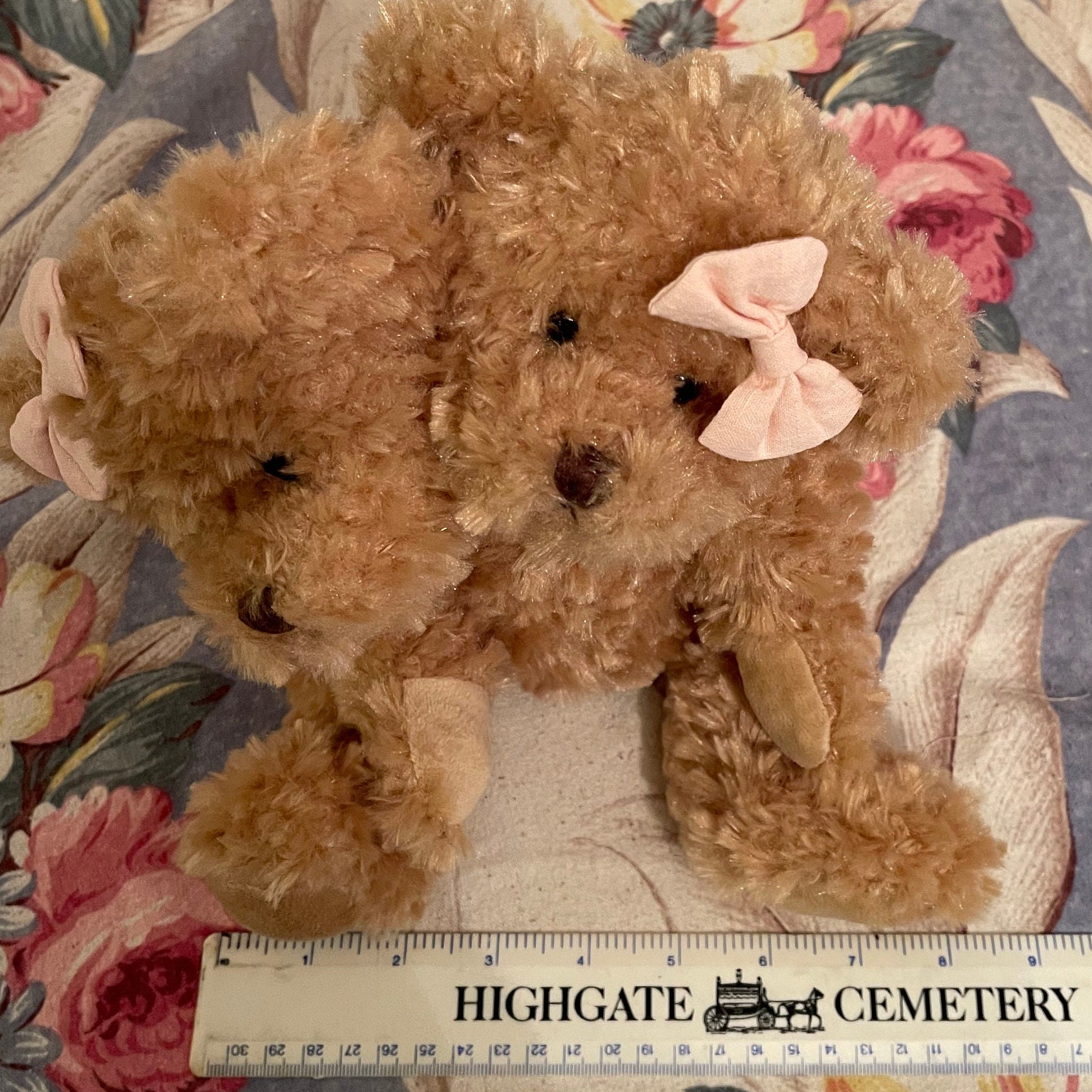 Darling Little 2 Headed Bear - Etsy