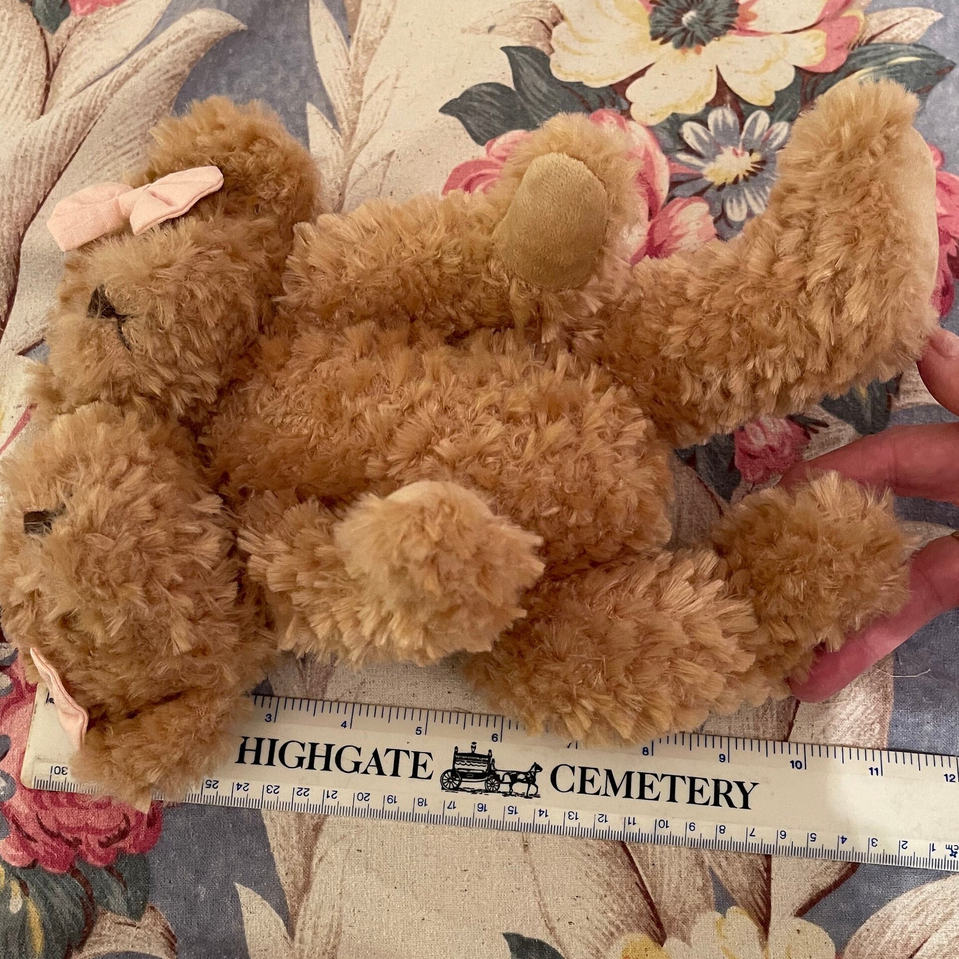 Darling Little 2 Headed Bear - Etsy