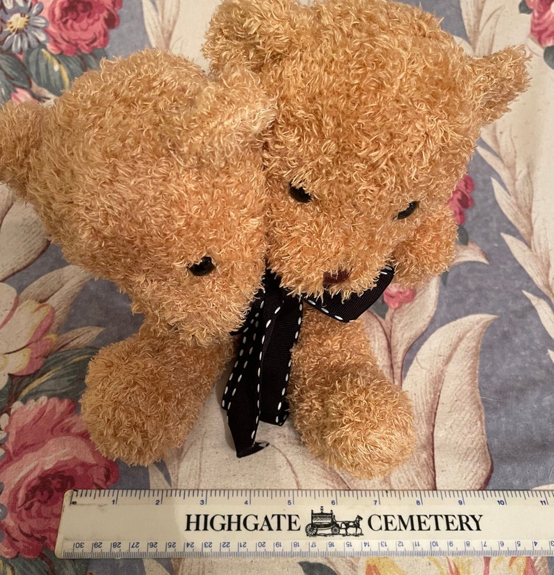 Sweet, Funny Face Plush 2 Headed Bear - Etsy