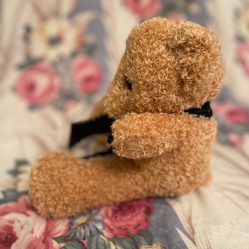 Sweet, Funny Face Plush 2 Headed Bear - Etsy