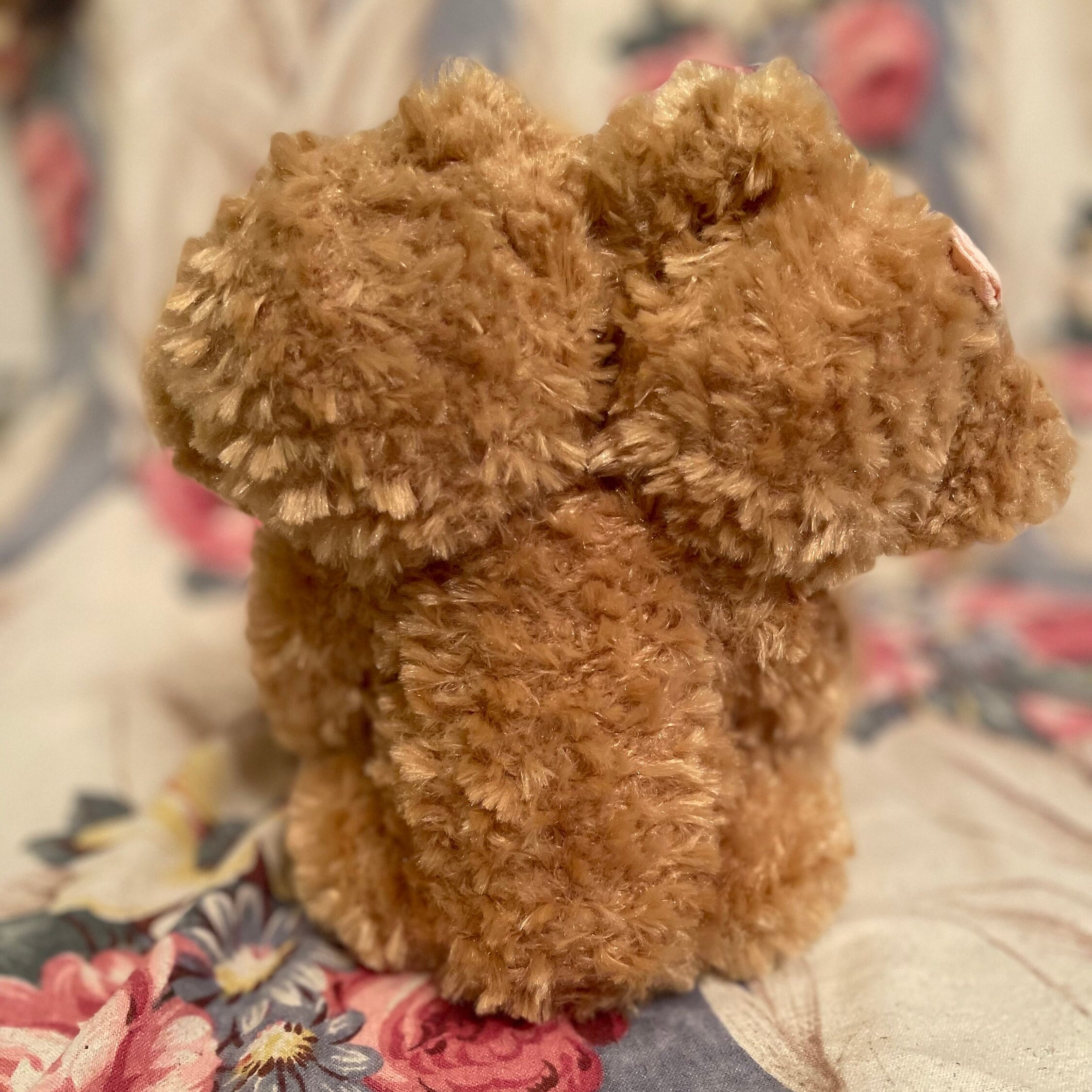 Darling Little 2 Headed Bear - Etsy