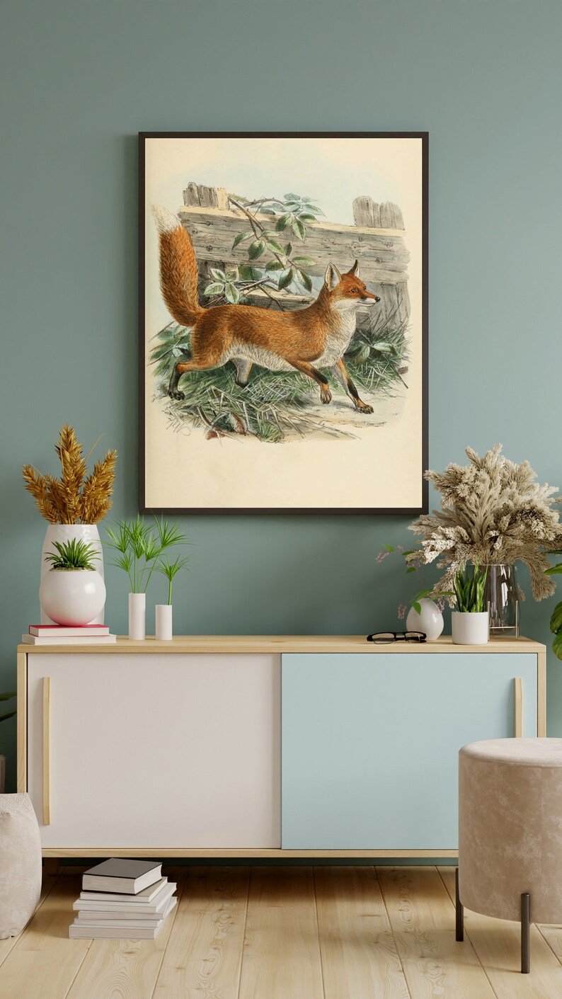 Vintage Fox Illustration Wall Art Antique Fox Print Home Decor - Etsy