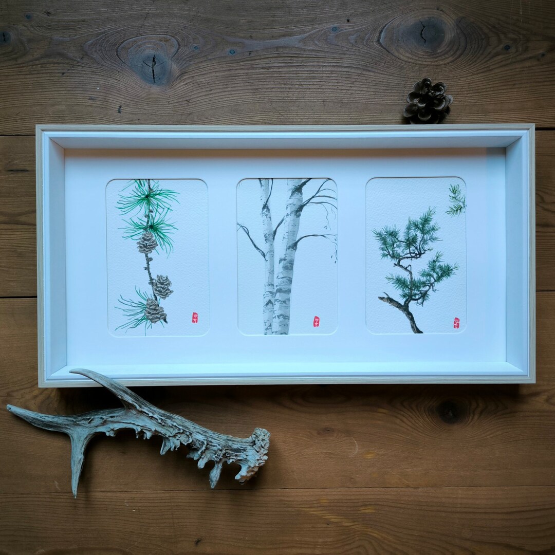 Birch, Spring, Beautiful Tree, Spring Leaf, Birch Leaves, Birch Bark ...