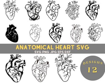 Anatomical Heart Svg Bundle, Flower Heart Svg, Human Heart Svg, Anatomy ...