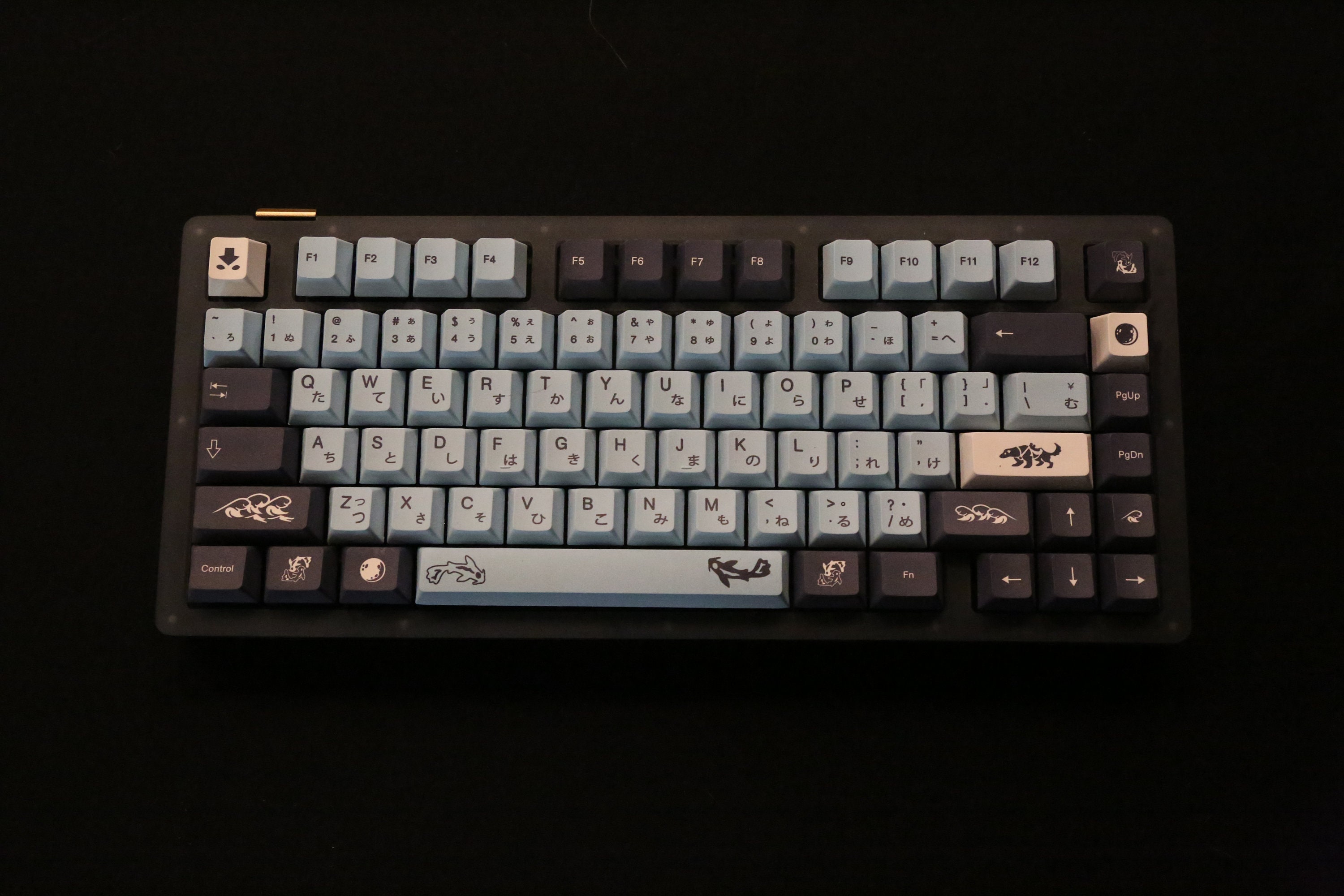 Custom 75% Mechanical Keyboard With an Assortment of Switches - Etsy