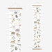 Height Chart for Children - Animals - I'm as Tall as A... - Etsy