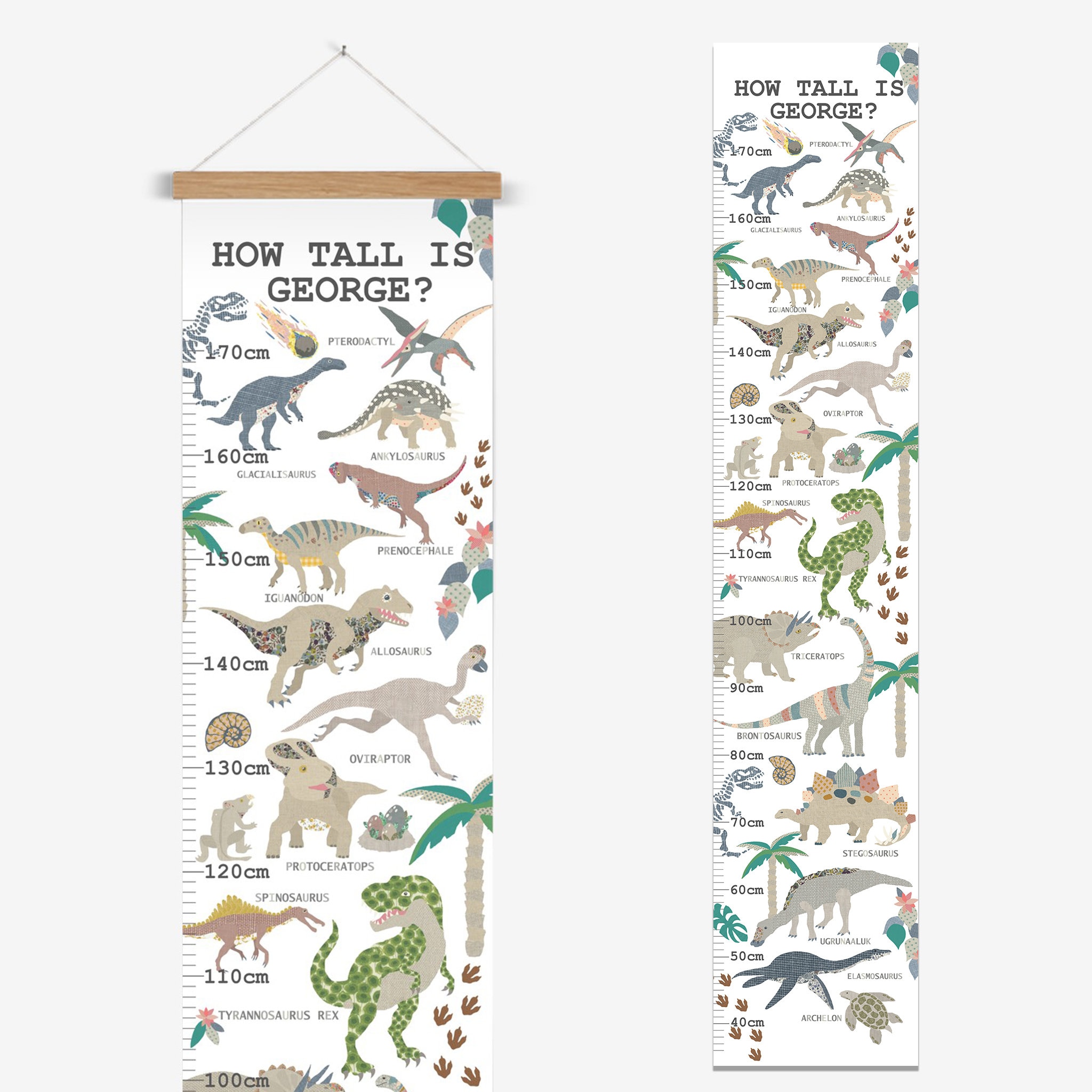 Personalised Height Chart for Children - Dinosaurs With Names - Etsy