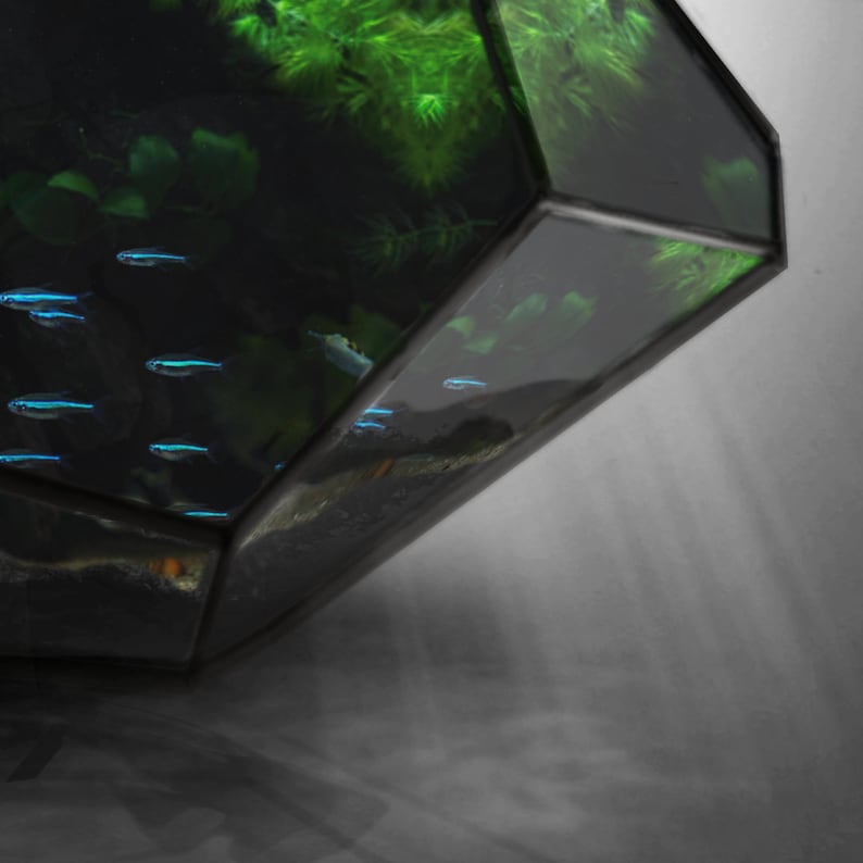 HERMAN Aquarium; the Shape 250 Litres/ 65 Gallons - Etsy