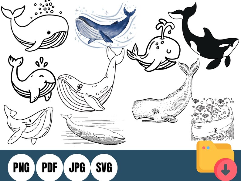 Whale SVG File Whale Cut File Whale Floral SVG File Whale - Etsy