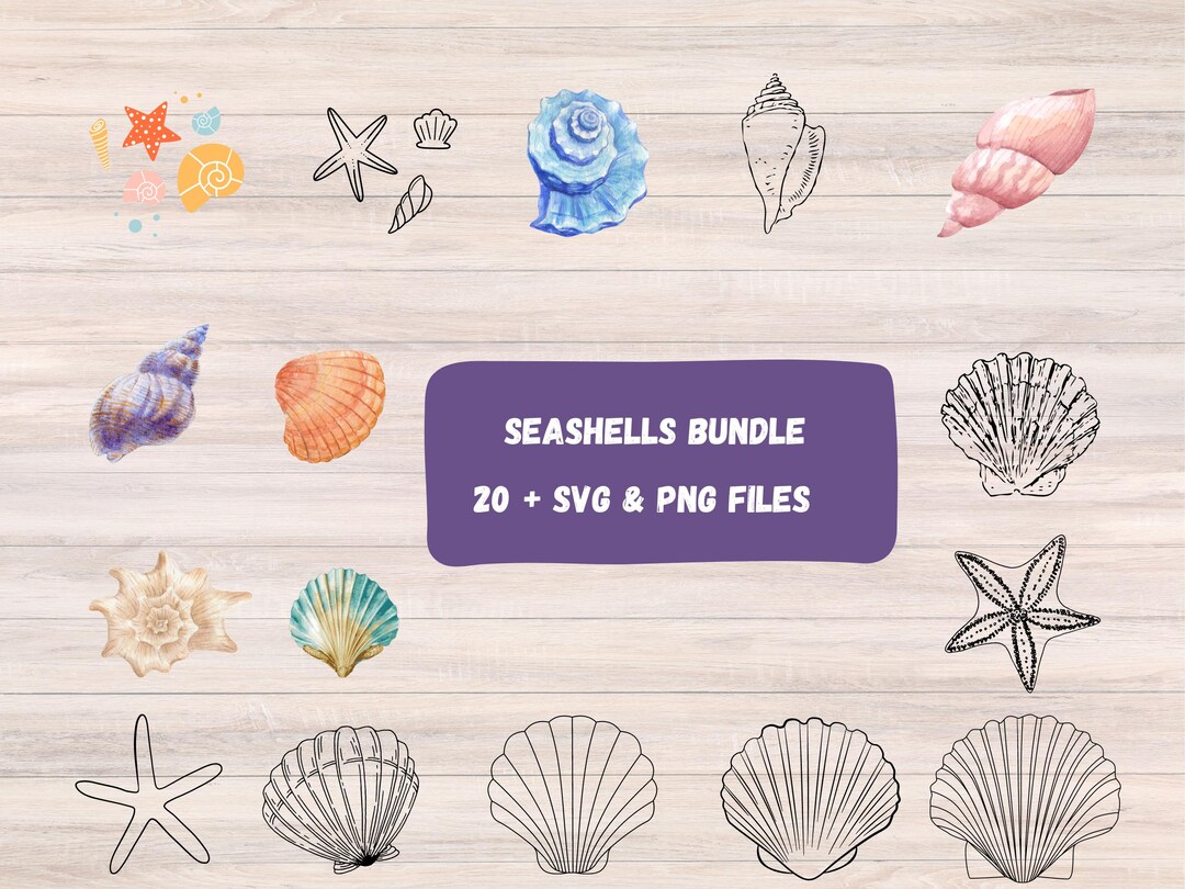 Seashells SVG Bundle Beach Clipart 20+ Nautical Designs Instant ...