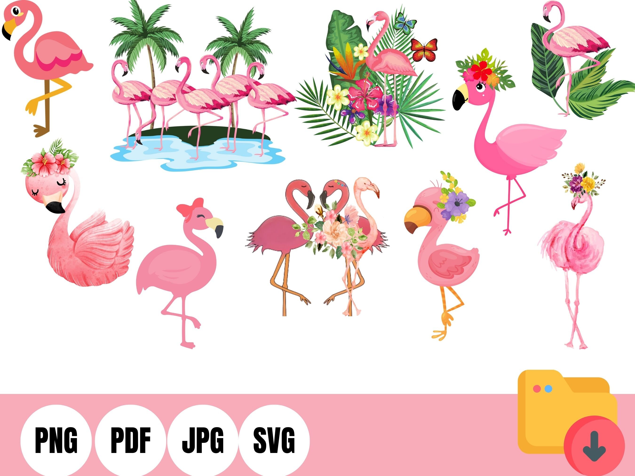 Flamingo SVG Cut File, Flamingo PNG, Flamingo Svg for Cricut ...
