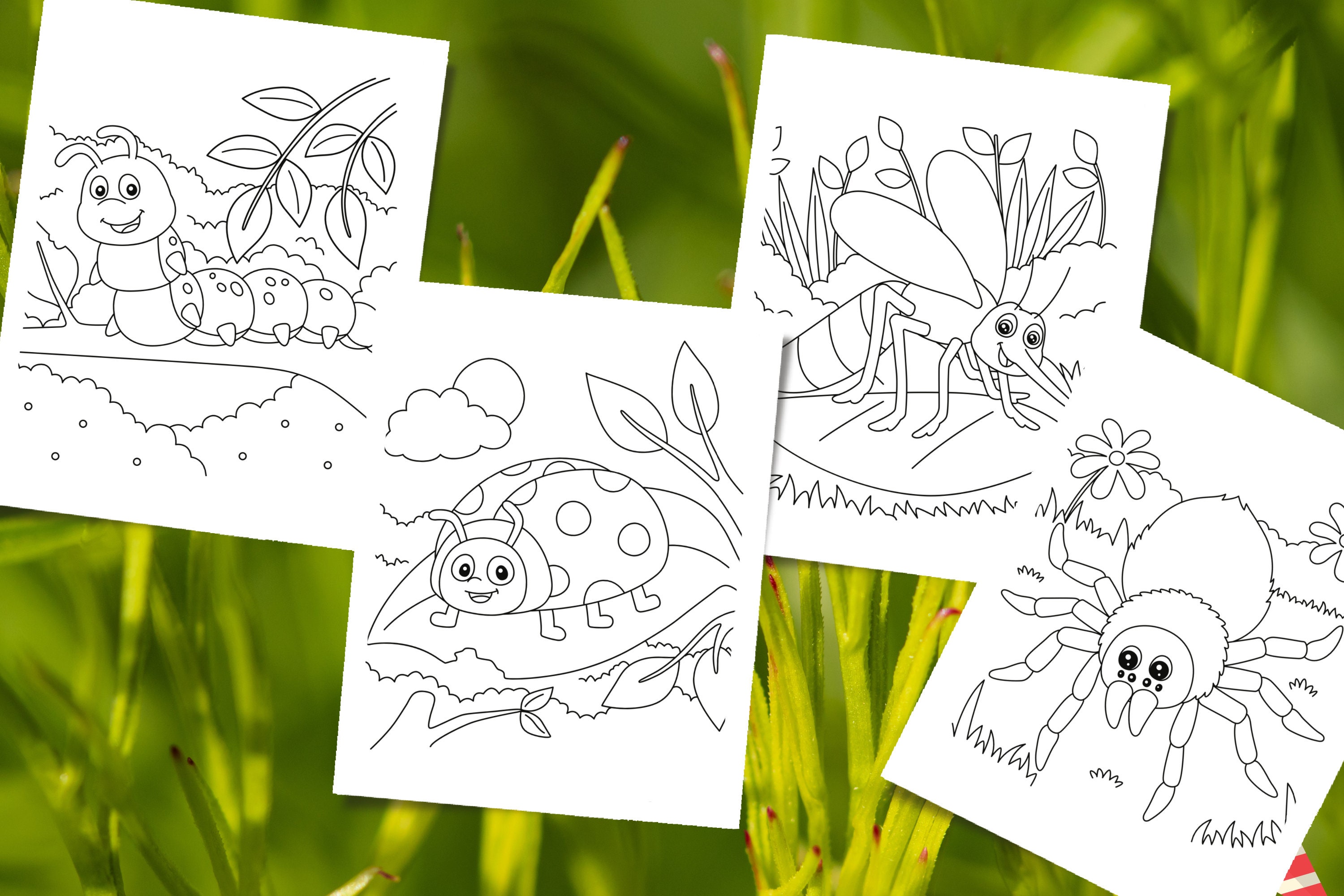 12 Printable Coloring Pages for Kids, Insect Coloring Pages, Instant ...
