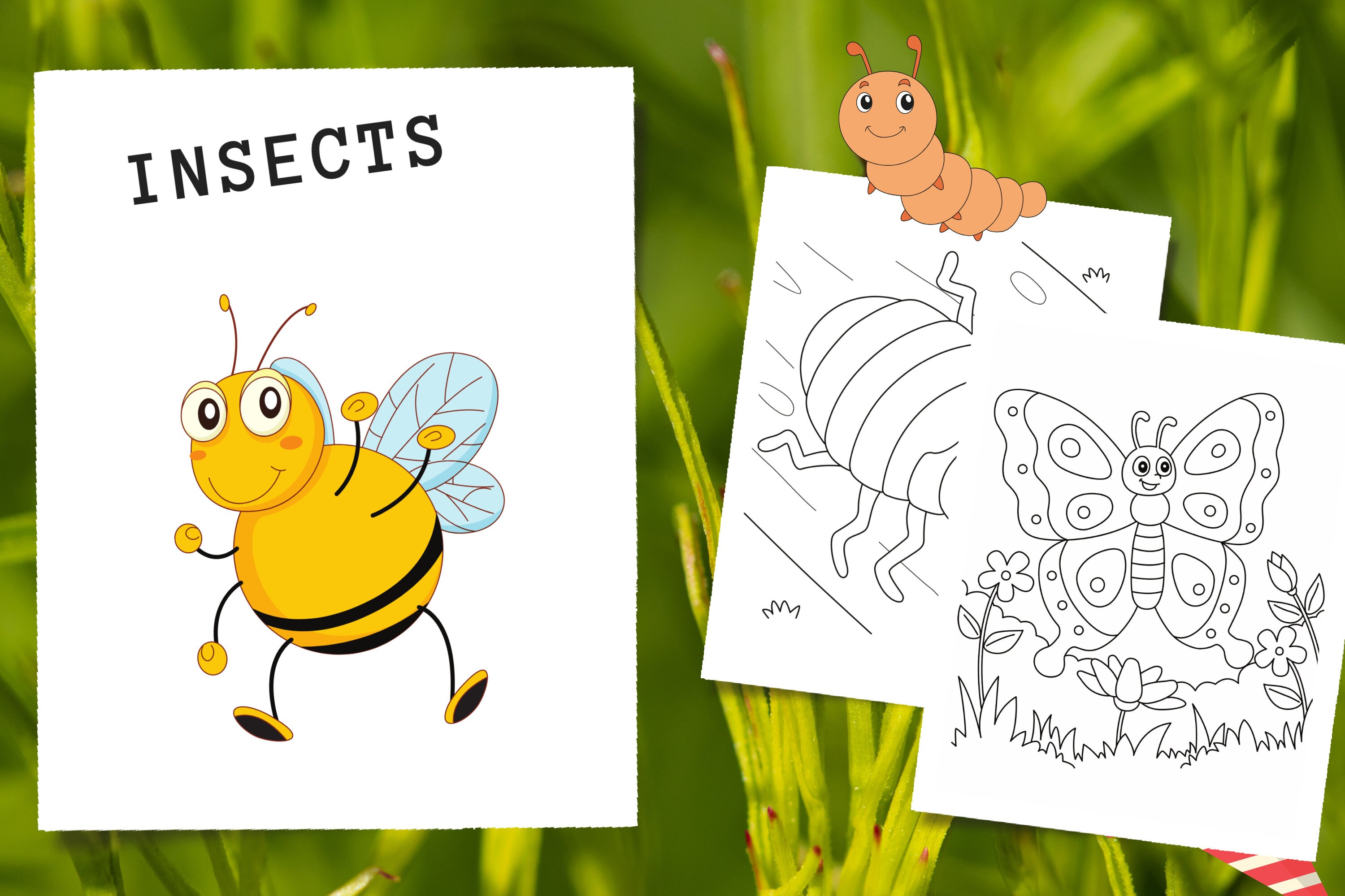12 Printable Coloring Pages for Kids, Insect Coloring Pages, Instant ...