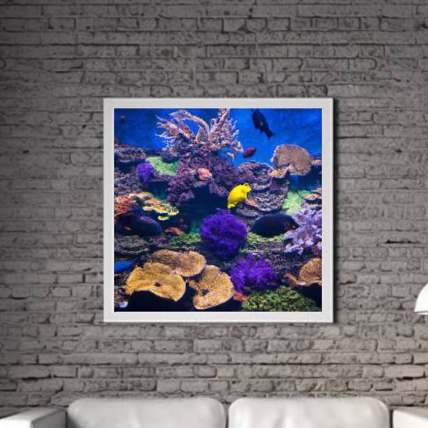 One Piece Aquarium - Etsy