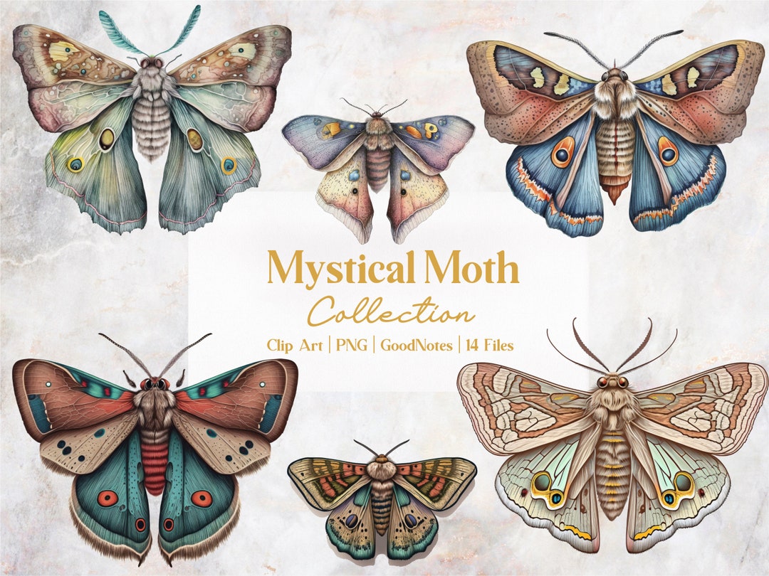 14 Pc Mystical Moth Clipart Collection, Commercial Use, Goodnotes ...