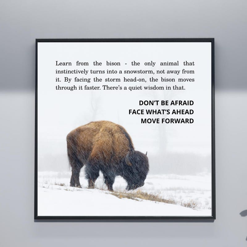 Bison Storms - Etsy UK